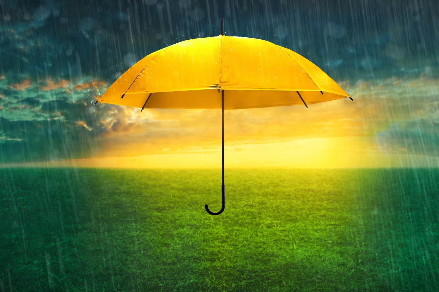 Waterdrop: A Mix Of Positives And Negatives (NYSE:WDH) | Seeking Alpha