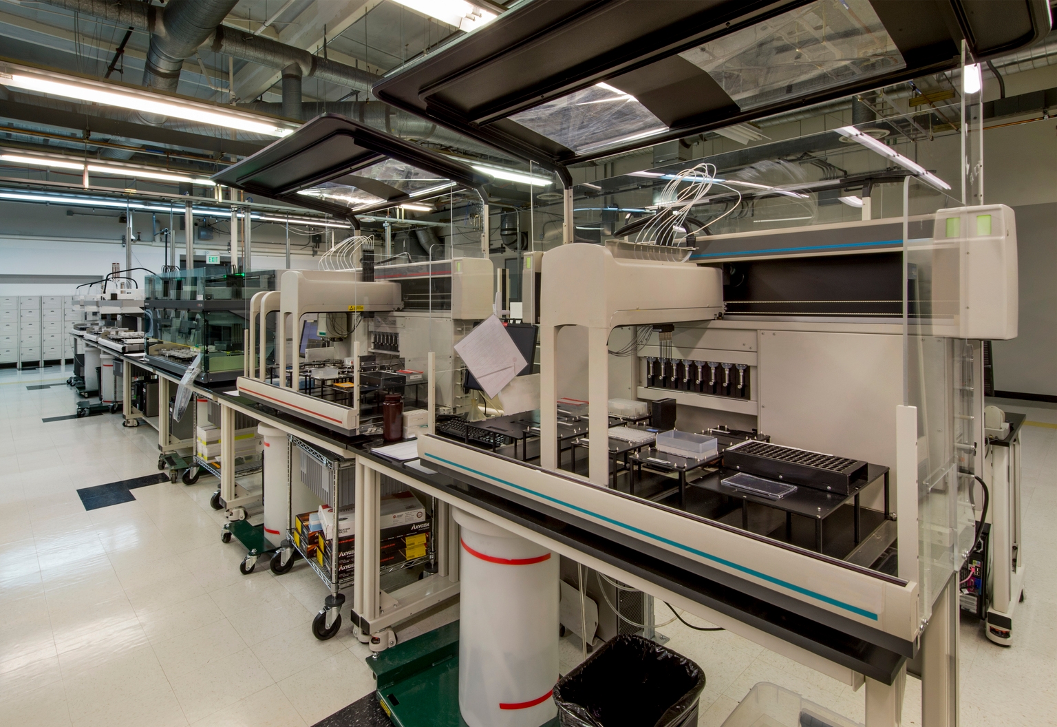 Beam Therapeutics: Strong Buy On BEAM-101 Progress And In Vivo LNP ...