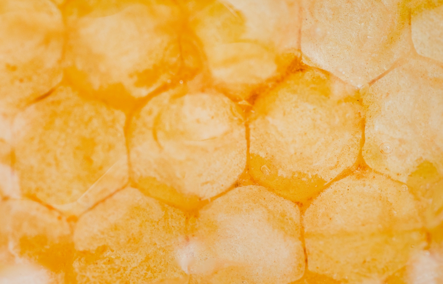 Hive Digital: 2 Supercycles, One Stock (NASDAQ:HIVE) | Seeking Alpha