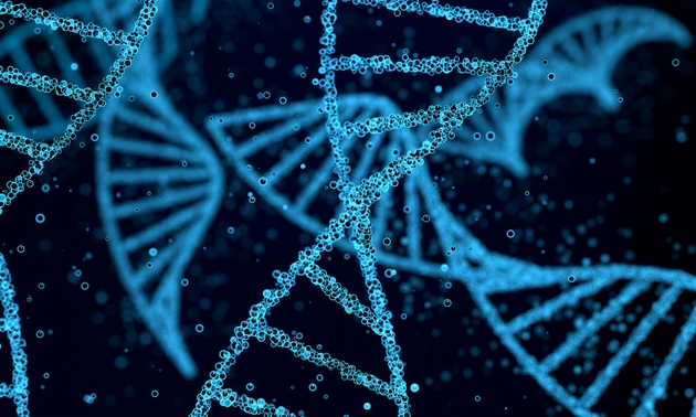 Gilead: 'Hold' On BIKTARVY Sales Growth And MM Drug Development Program ...