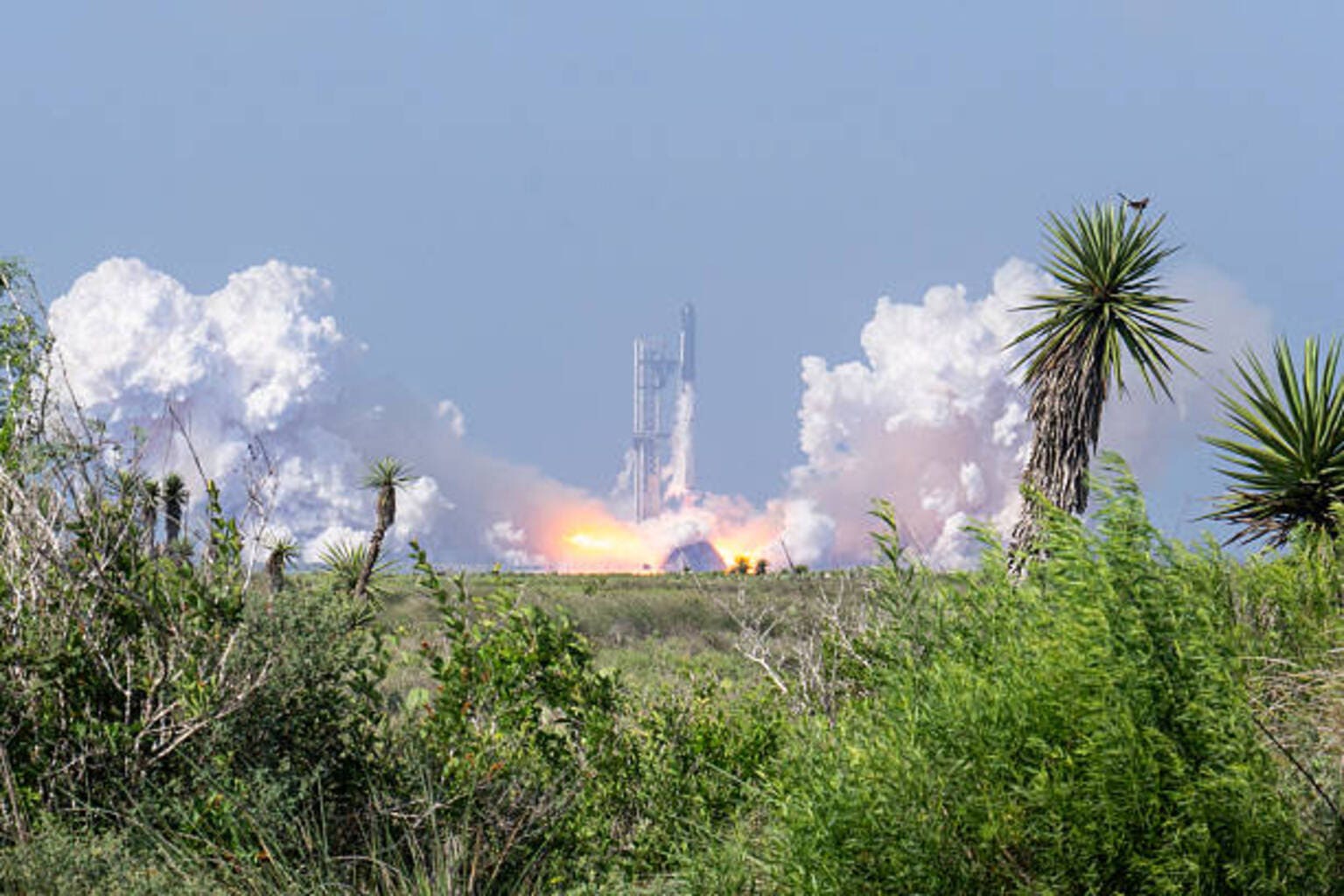 SpaceX signals confidence in $135 IPO price as investor demand surges ...