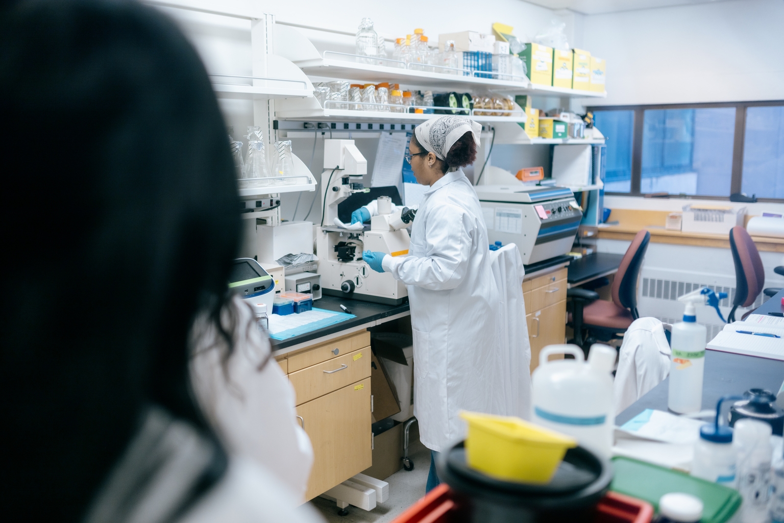 Regeneron (REGN): 'Buy' Revenue Growth And Two Extensive Drug ...