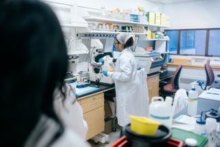 Regeneron (REGN): 'Buy' Revenue Growth And Two Extensive Drug ...