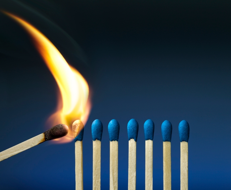 Market Cycle Momentum Reigniting (Q2 2024 Update) | Seeking Alpha