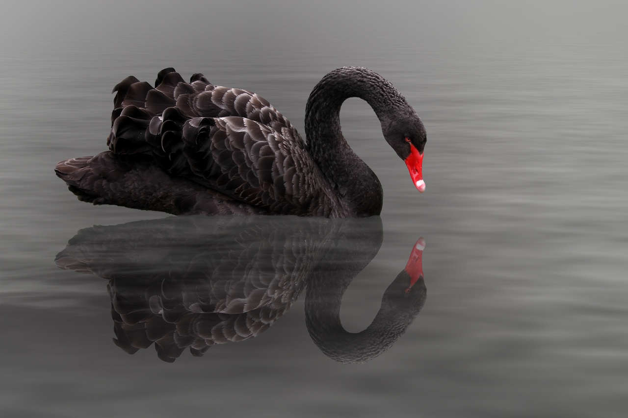 Bitcoin: The Good, The Bad And The Ugly Black Swan | Seeking Alpha