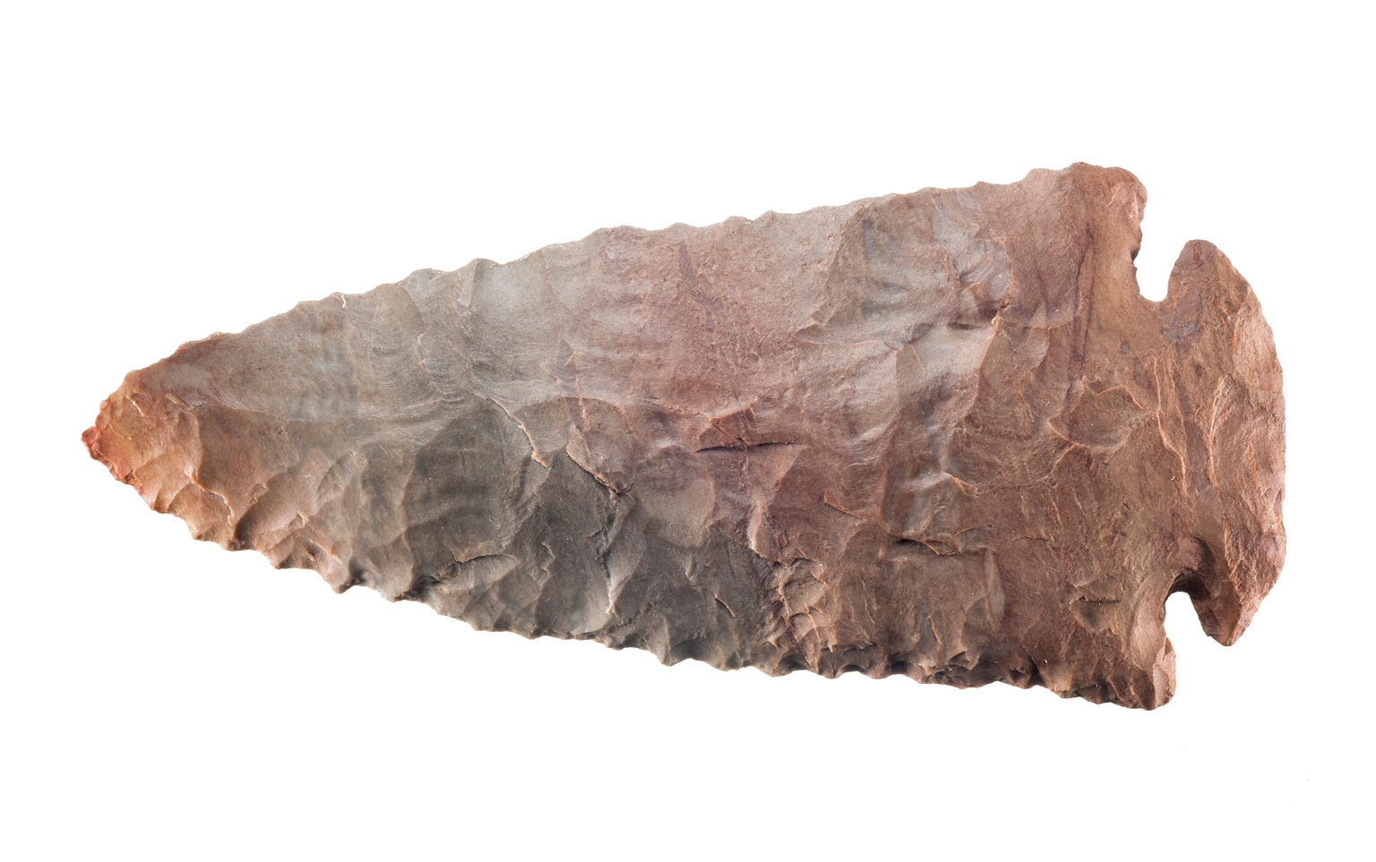 Arrowhead Pharmaceuticals: Hoping Something Sticks (NASDAQ:ARWR ...