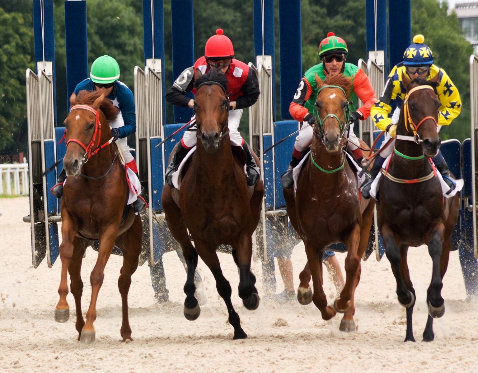 Million Dollar Mindset: Betting On The Horse And The Jockey | Seeking Alpha