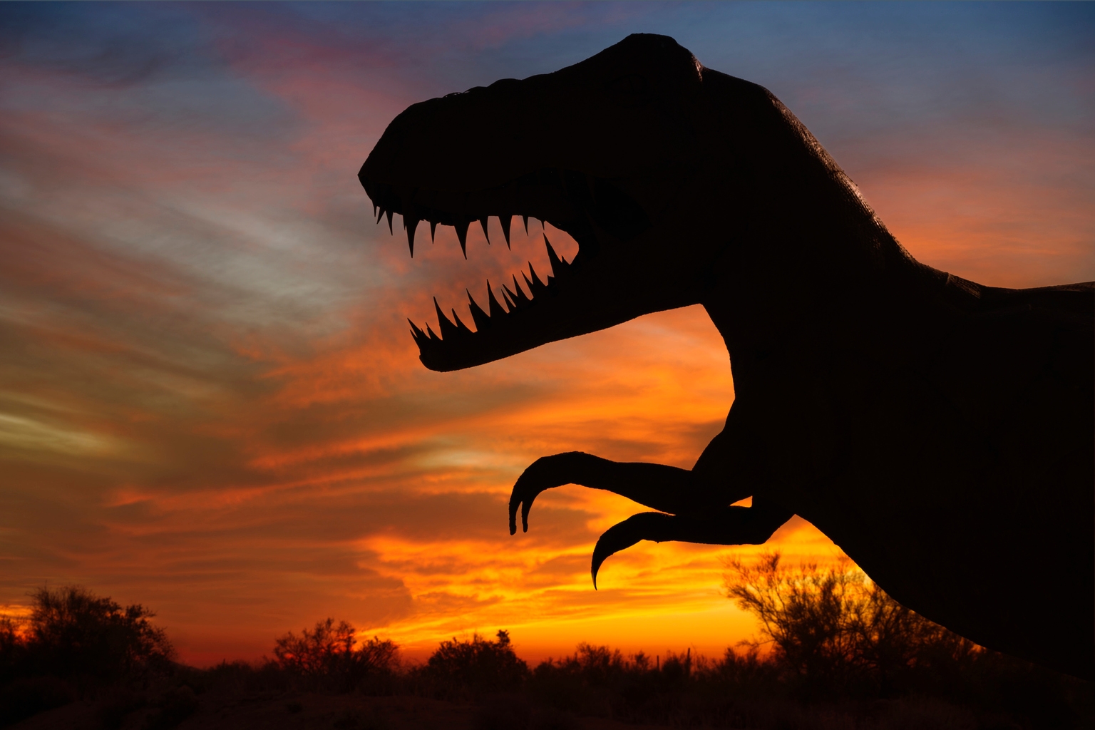 Dell Technologies: A Dinosaur That's Learning New Tricks (NYSE:DELL ...