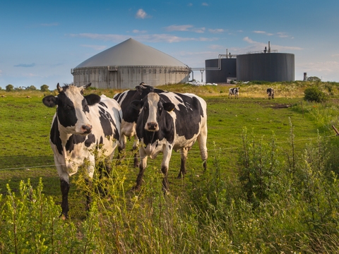 Clean Energy Fuels launches eighth dairy RNG production plant (CLNE ...