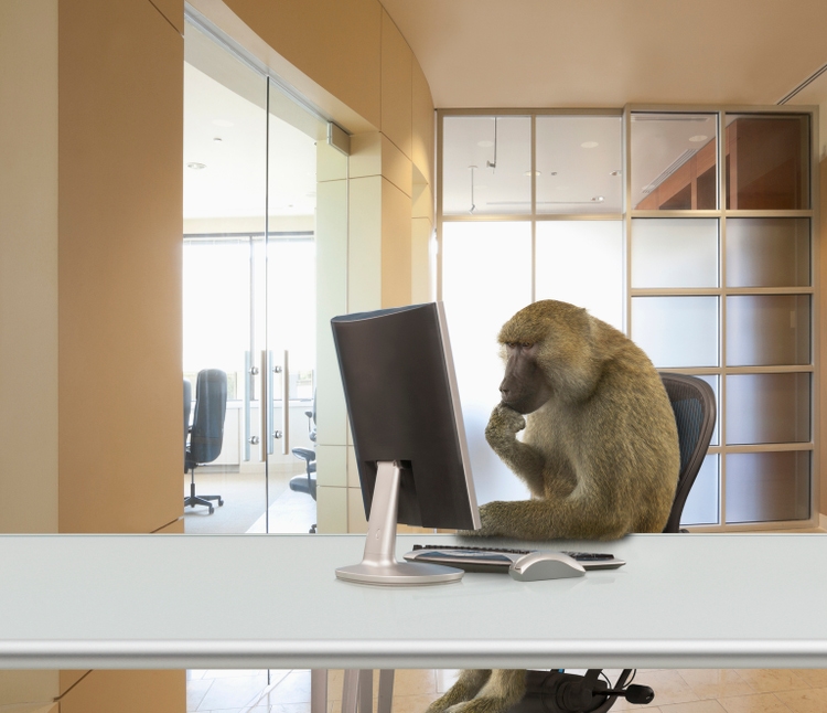 MACRO Update - It's "Monkey Time" (NASDAQ:NVDA) | The Savvy Investor ...