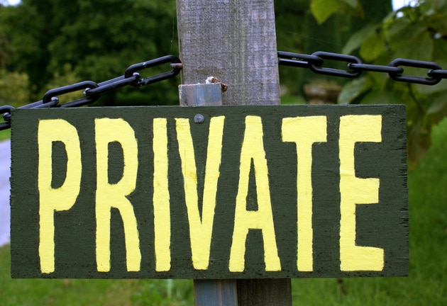 Companies Are Staying Private Longer: Why It Matters | Seeking Alpha