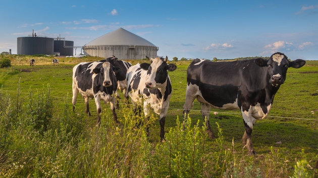 Buy Aemetis As It Hits Multiple Catalysts In 2026 (NASDAQ:AMTX ...