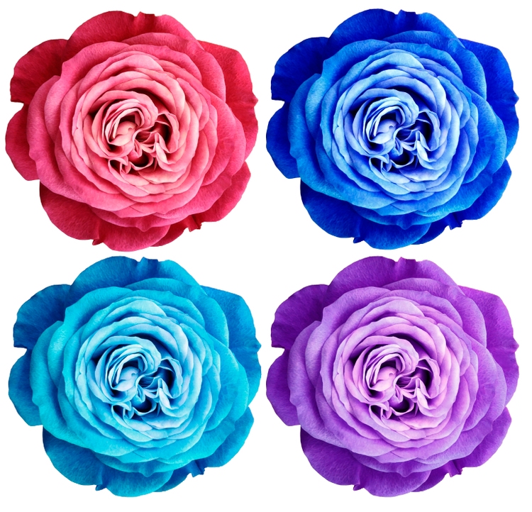 Roses Are Red, Violets Are Blue, Markets Are Fun, Time For Value. (SPX ...