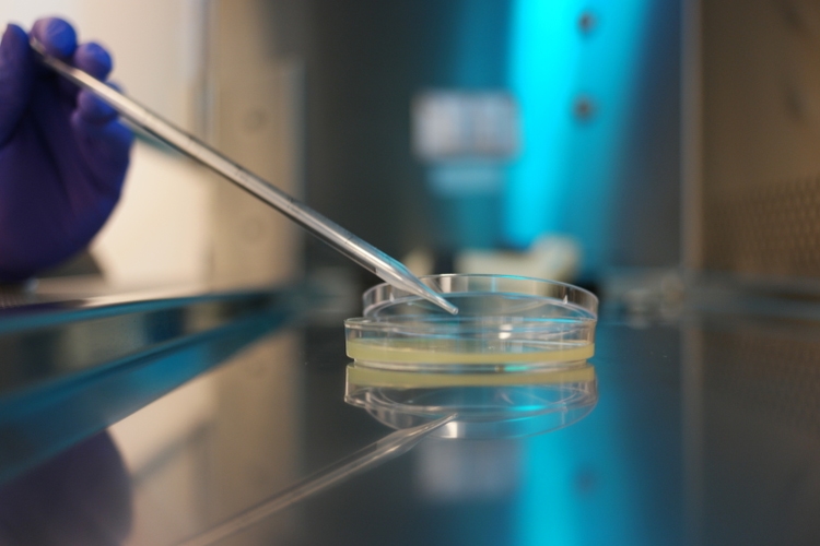 BIOQUAL fires 10% of its employees | Seeking Alpha