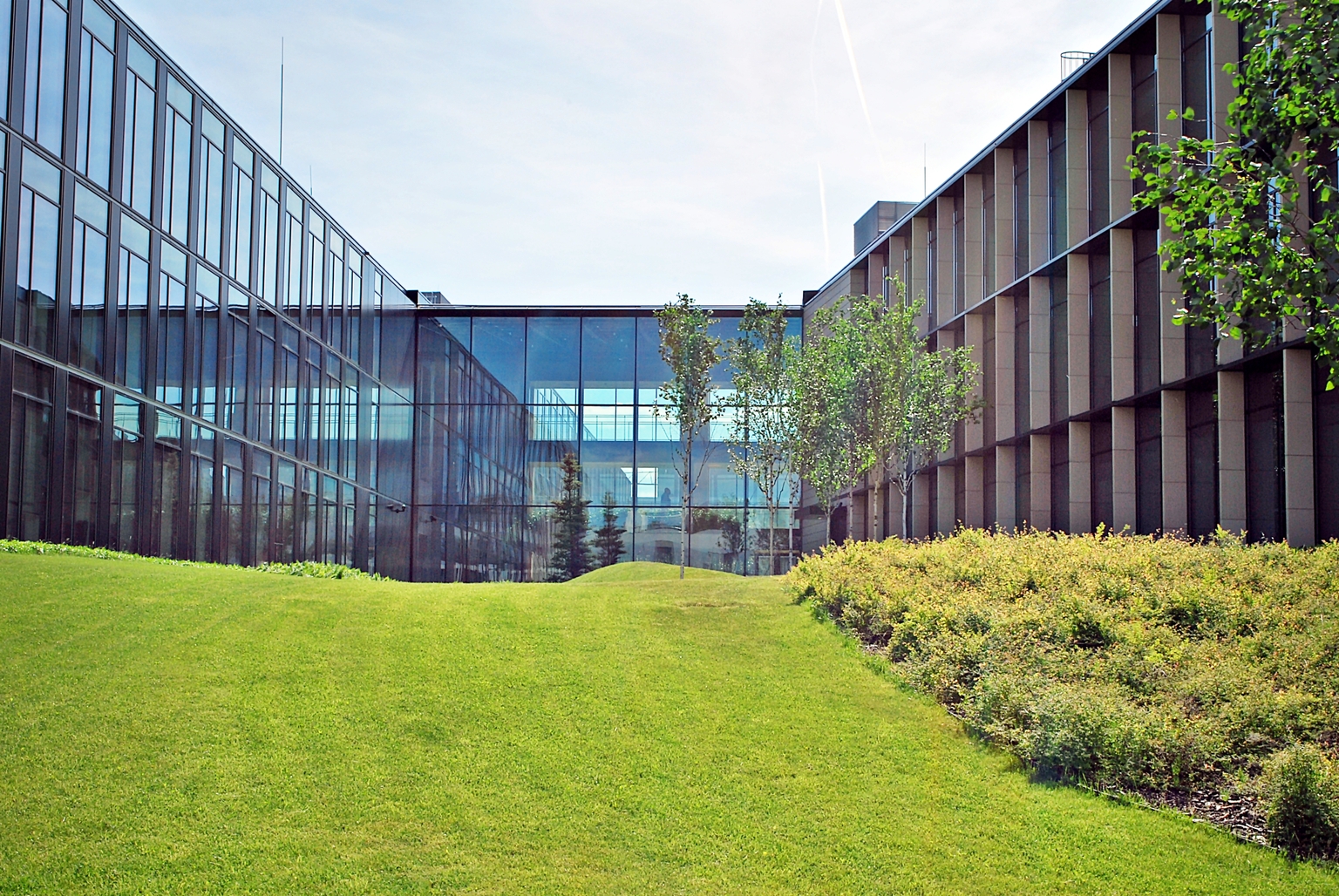 Asseco Poland: This High-Growth, Undervalued Gem Is A Clear Buy ...