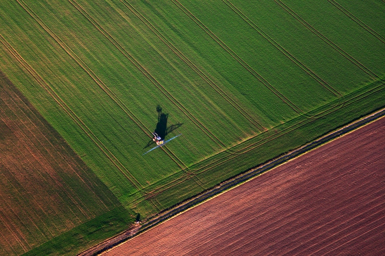 StoneX enters commercial clearing alliance with European ag commodity ...