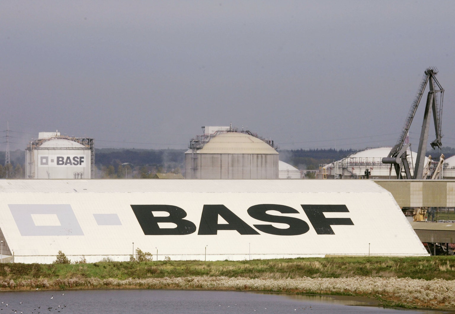 BASF, Yara weigh low-carbon blue ammonia project on U.S. Gulf Coast ...