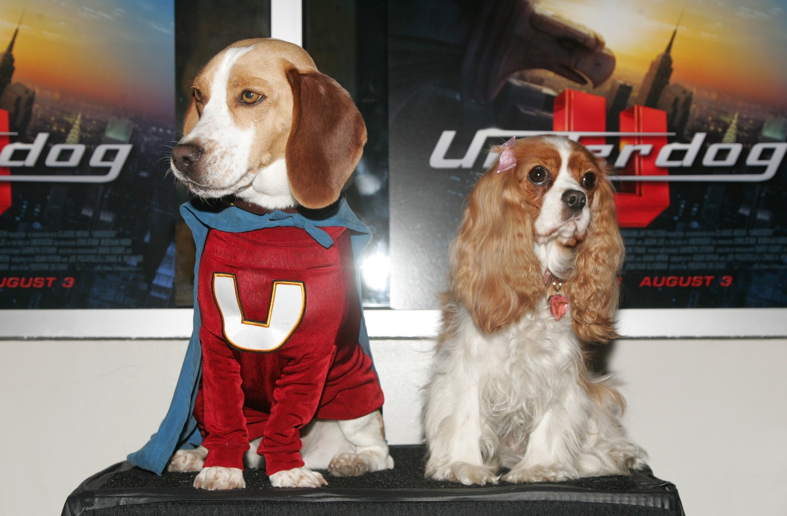 March Dogs Of The Dow: Buy 1; Watch 4 | Seeking Alpha