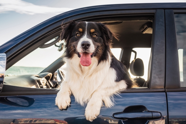 It's Not Exciting… It's Just Really, Really Good: Agree Realty (NYSE ...