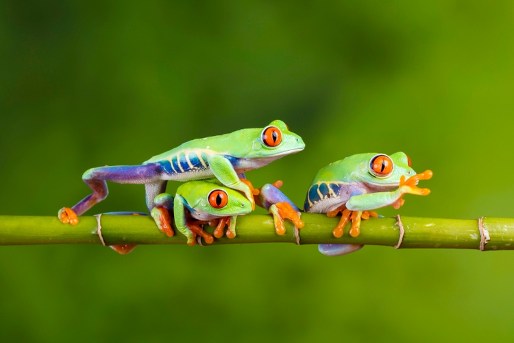 Did AMD Just Leapfrog Nvidia? (NASDAQ:AMD) | Seeking Alpha