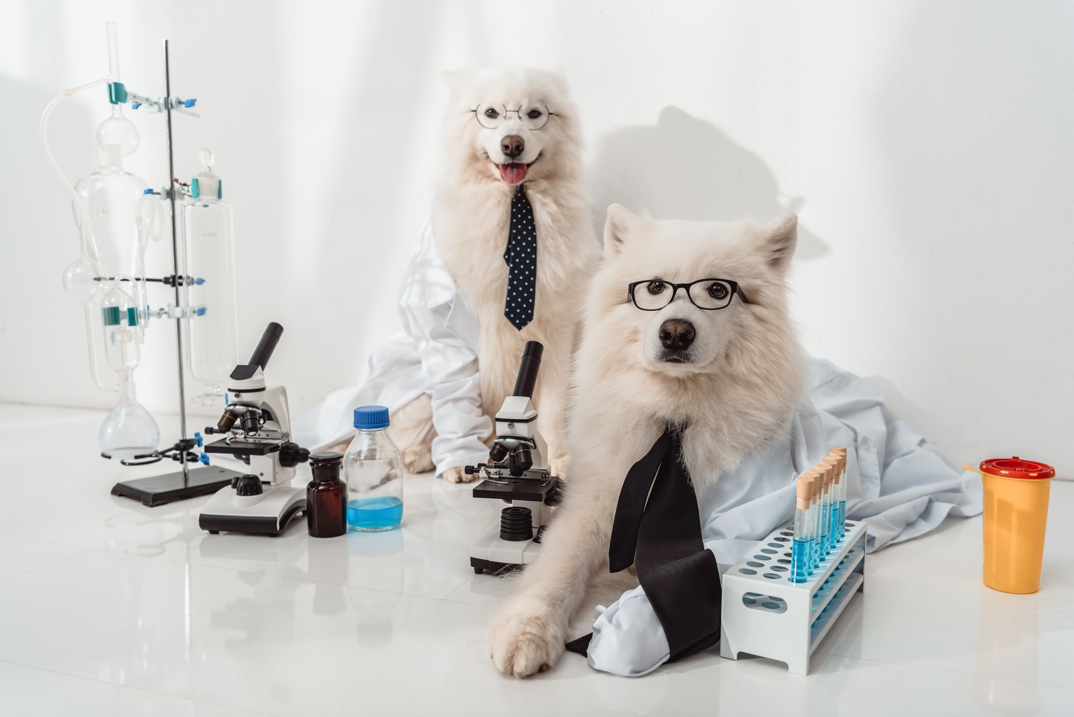 ARKG: Investing In The Genomics Revolution (BATS:ARKG) | Seeking Alpha