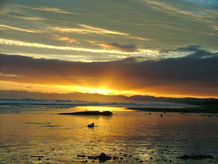 Shifting Tide Buoys High Yield | Seeking Alpha