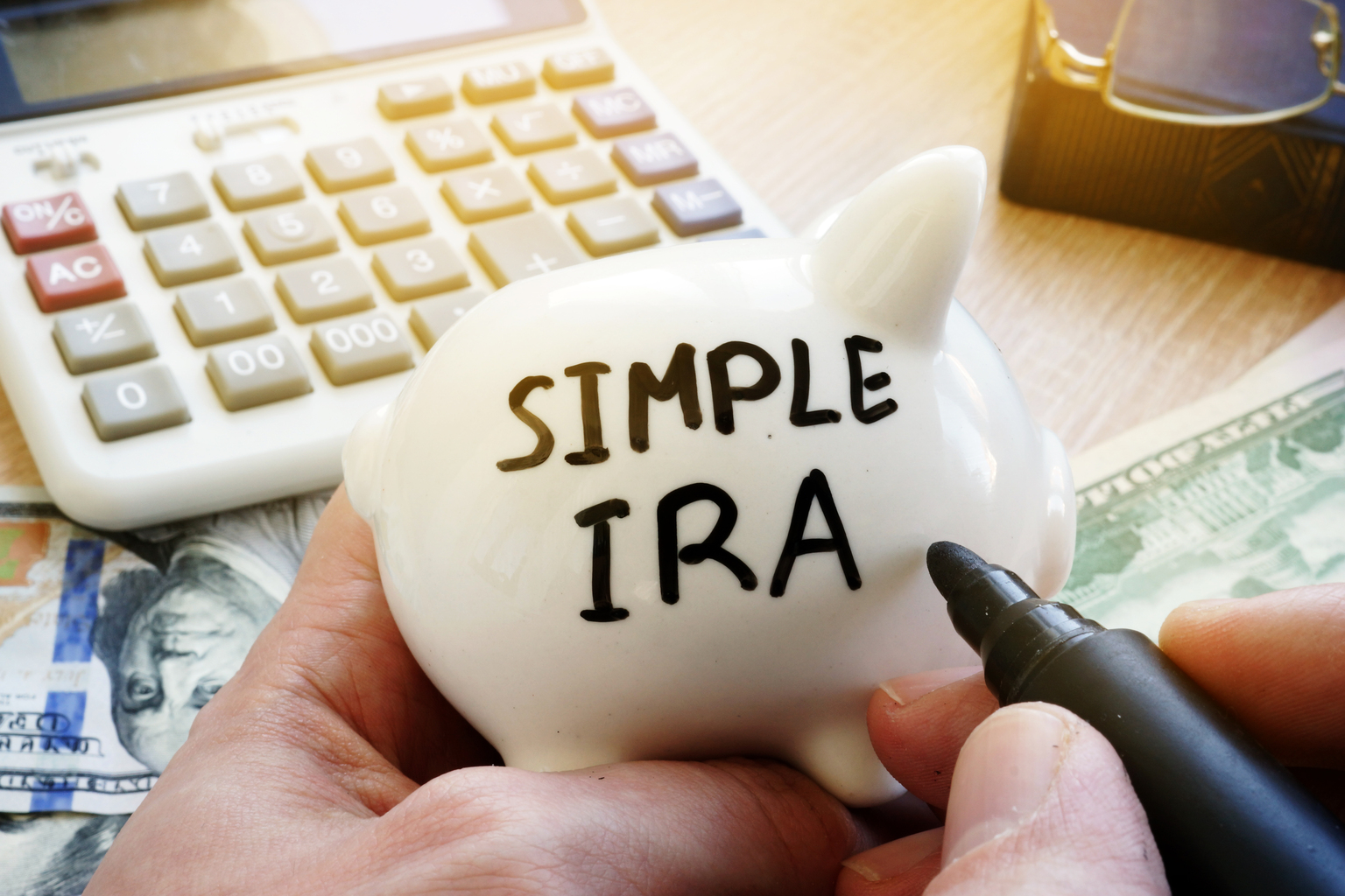 SIMPLE IRA What It Is How It Works Seeking Alpha SIMPLE IRA What It Is How It Works Seeking Alpha