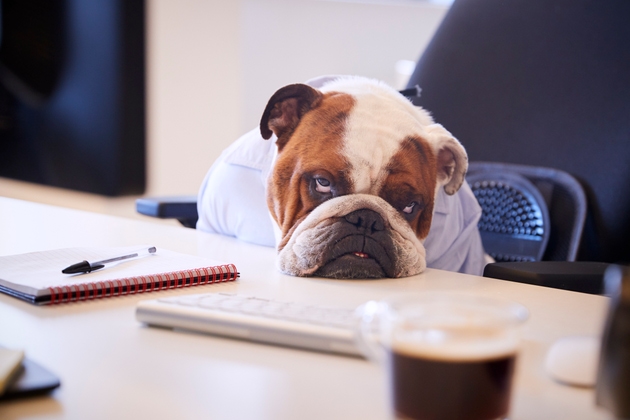 Beware The Bull Flattener (SPX) | Seeking Alpha