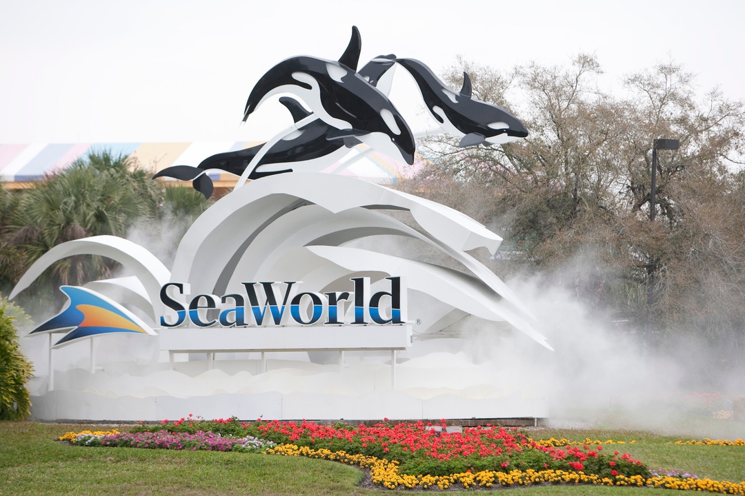 SeaWorld opens first theme park in 30 years with new location in Abu ...