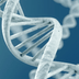 Structure Therapeutics Inc. (GPCR) Stock Price, Quote, News & Analysis ...