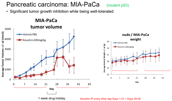 Cellceutix Eyeing A $5B Annual Market With Potential Caner Research ...
