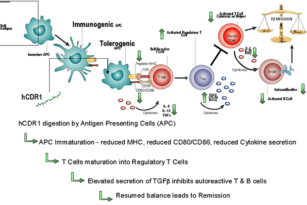 XTL Hopes To Begin Major Lupus Trial Next Year (NASDAQ:XTLB) | Seeking ...