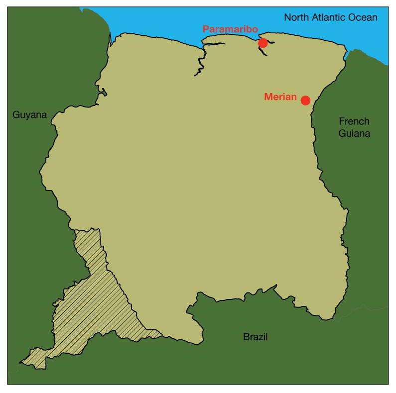 Newmont Breaks Ground At $1 Billion Merian Mine In Suriname (NYSE:NEM ...
