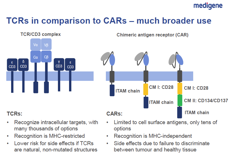 Medigene AG: Addressing The CAR-T Market Pain Points (OTCMKTS:MDGEF ...