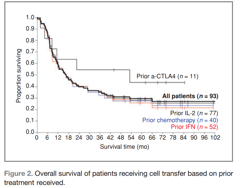 Lion Biotechnologies: Highlights (NASDAQ:IOVA) | Seeking Alpha
