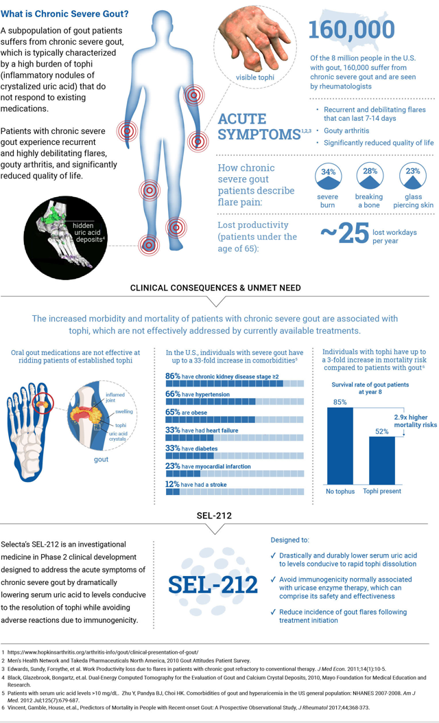 Selecta Biosciences: A Contrarian Investment (NASDAQ:RNAC) | Seeking Alpha