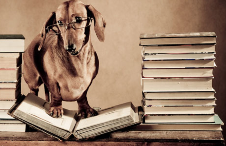 KCAP, Canadian Imperial And Garrison Are Top Dogs Per Financial Sector ...