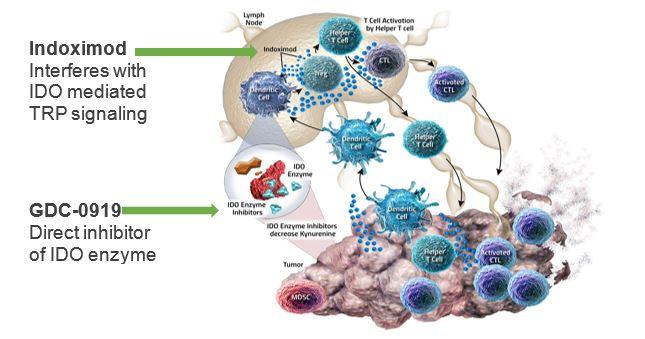 NewLink Genetics: Initiating Coverage With Buy Rating And First Price ...