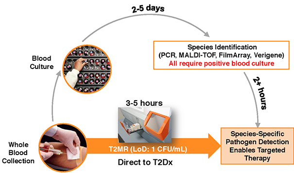 T2 Biosystems - A Busted IPO For 2018 (NASDAQ:TTOO) | Seeking Alpha