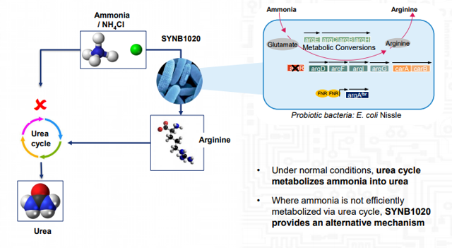 Synlogic: Precision-Programmed Probiotics To Treat Human Disease ...
