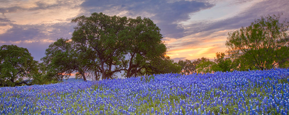 Texas Pacific Land: The Attractive Economics (NYSE:TPL) | Seeking Alpha