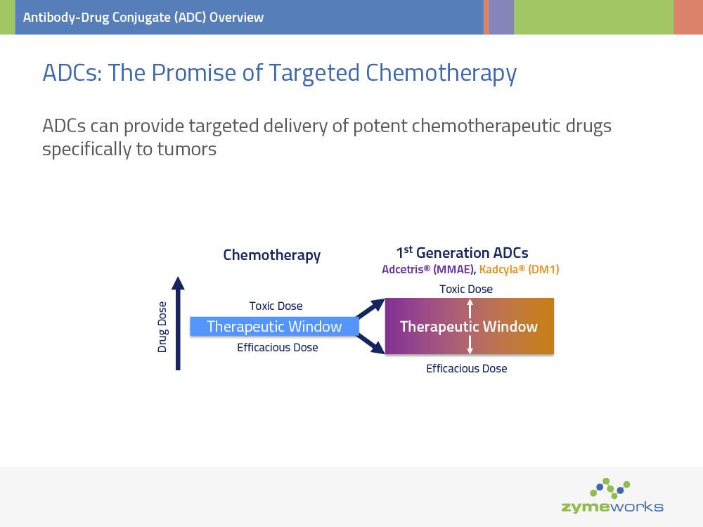 Zymeworks Inc A Blockbuster In The Making Nasdaq Zyme Seeking Alpha