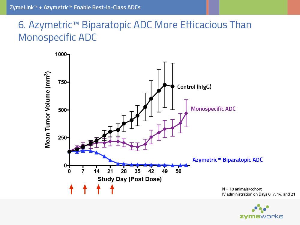 Zymeworks Inc A Blockbuster In The Making Nasdaq Zyme Seeking Alpha