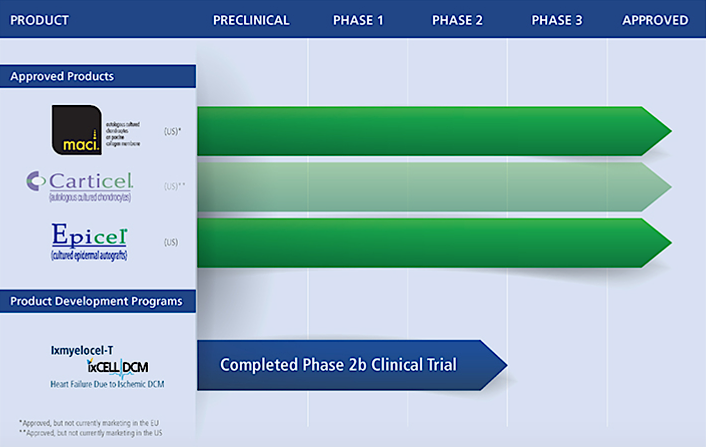 Vericel Corporation: What Investors Can Expect From This Powerful ...