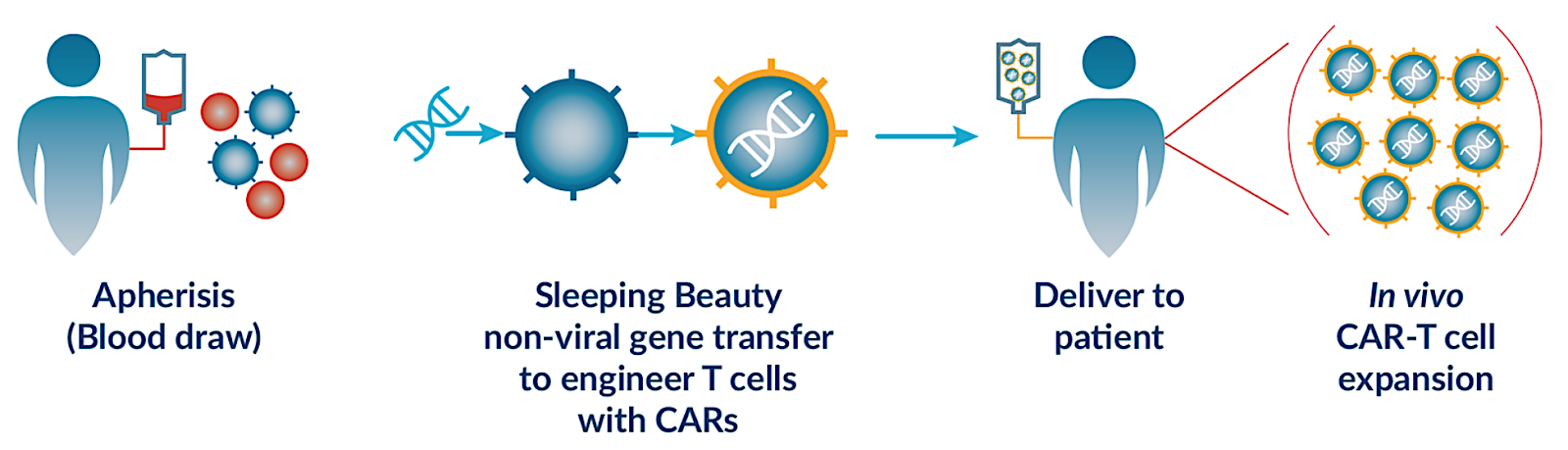 Ziopharm Oncology: An Early Stage CAR-T Innovator With Promising Assets ...