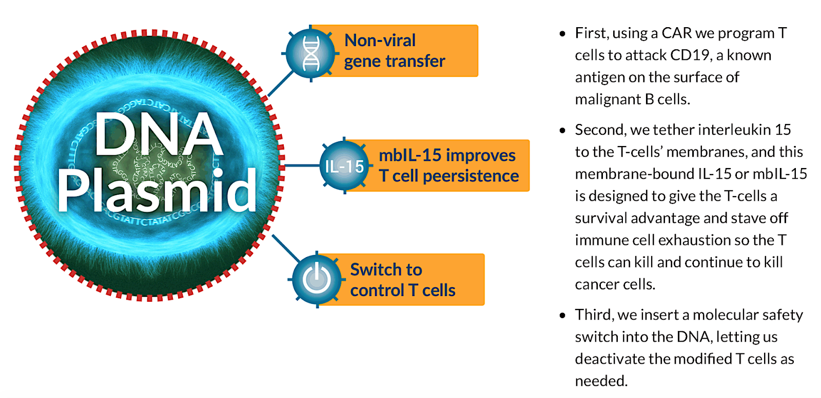 Ziopharm Oncology: An Early Stage CAR-T Innovator With Promising Assets ...