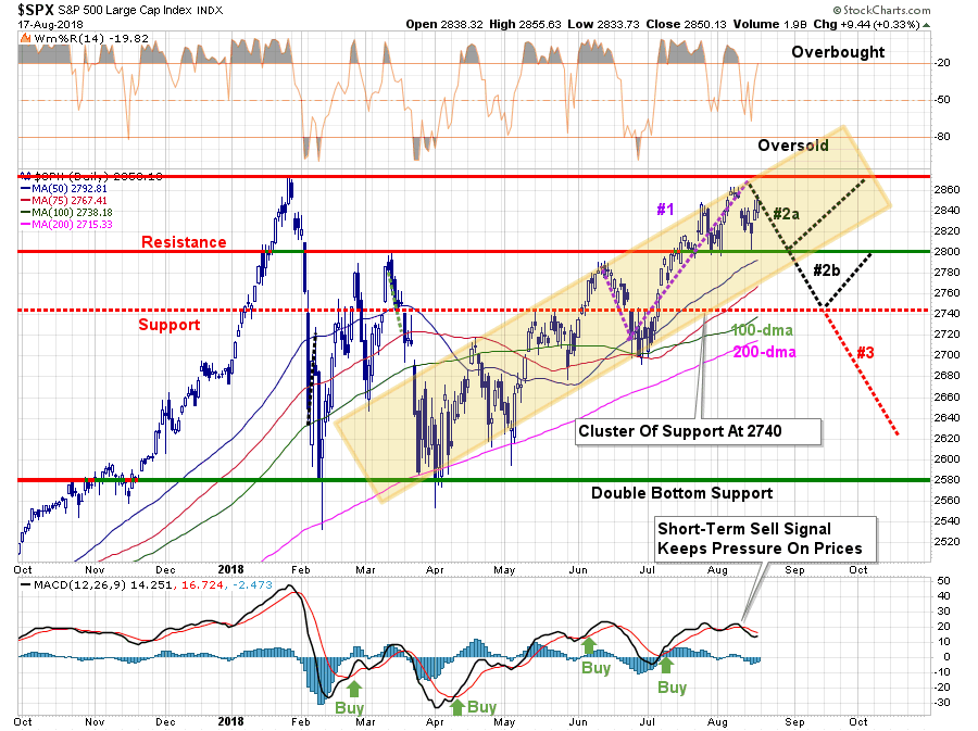 Squirrels | Seeking Alpha