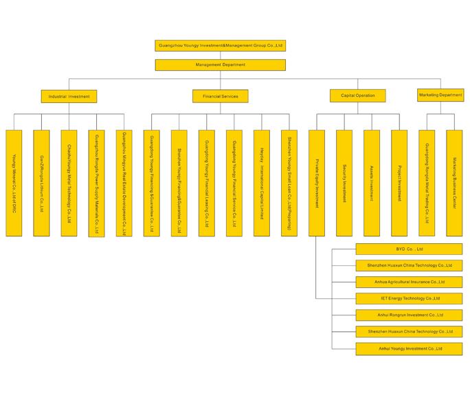 BYD Co: Know Your Blind Spots (OTCMKTS:BYDDY) | Seeking Alpha