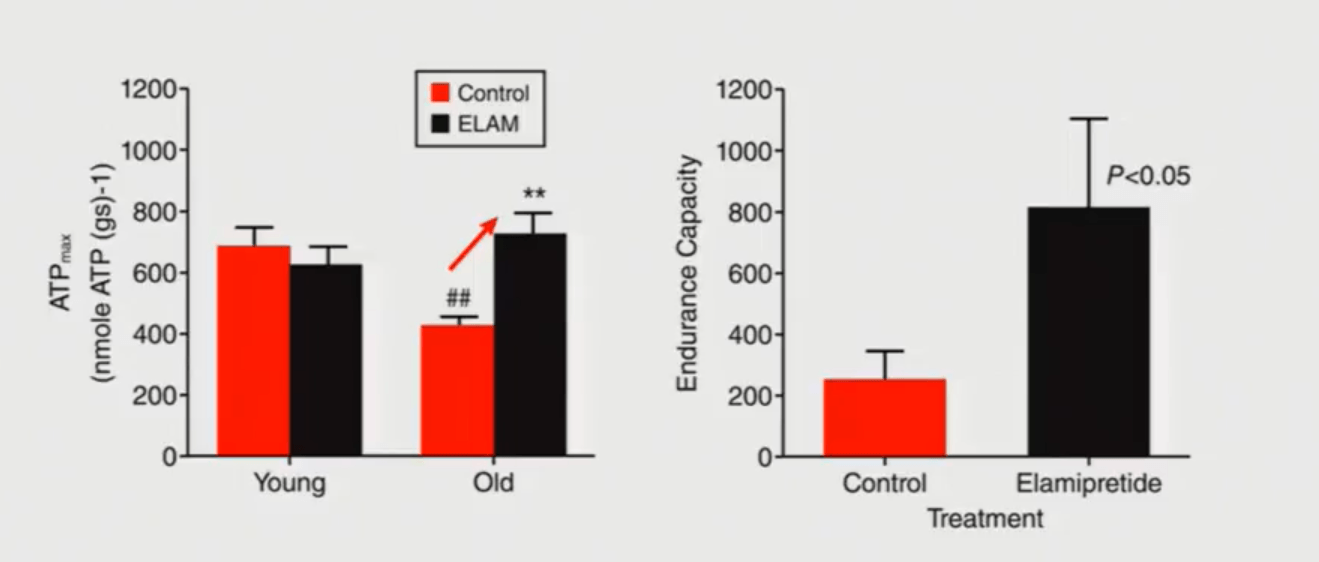 Stealth Biotherapeutics: Flying Under The Radar (MITO) | Seeking Alpha
