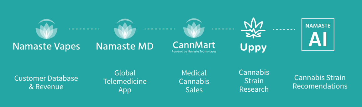 Namaste: Board Removed CEO In A Much-Needed Overhaul (OTCMKTS:LFSWF ...